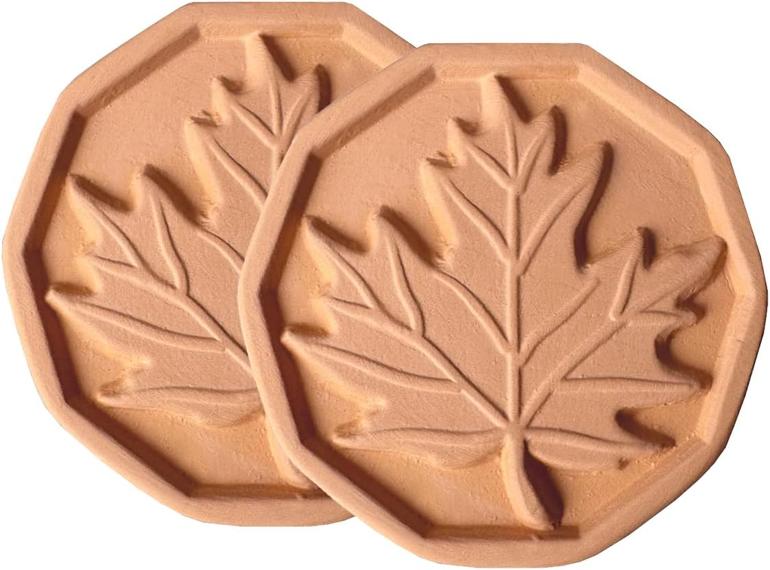 Amazon.com | dgudgu Brown Sugar Keeper Bee 4 Terra Cotta Brown Sugar ...