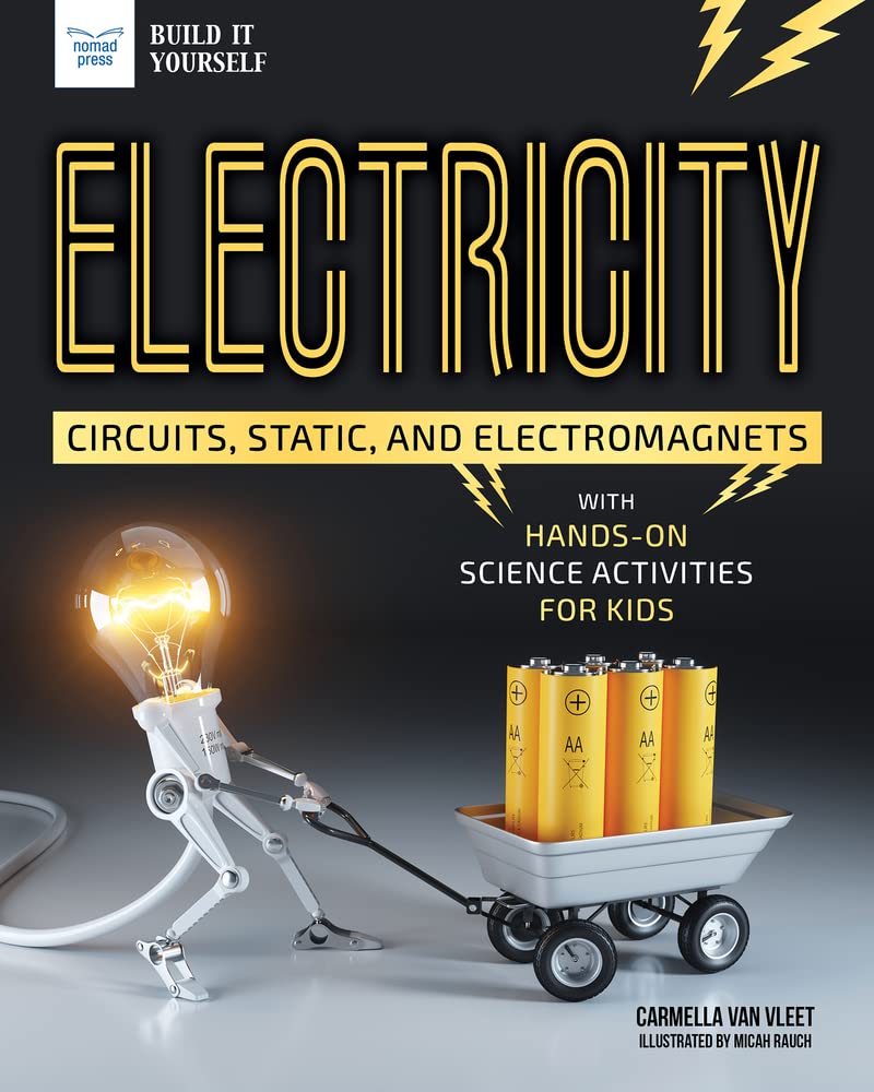 Buy Electricity: Circuits, Static, and Electromagnets with Hands-On ...