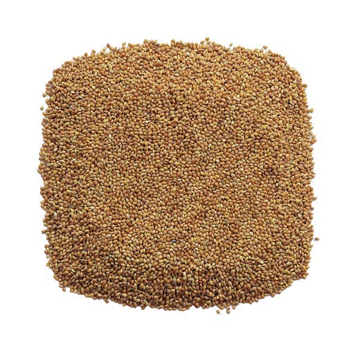 Buy PAXI DAYA Kang Seed Bird Food | Yellow Millet Seed Food for Small ...