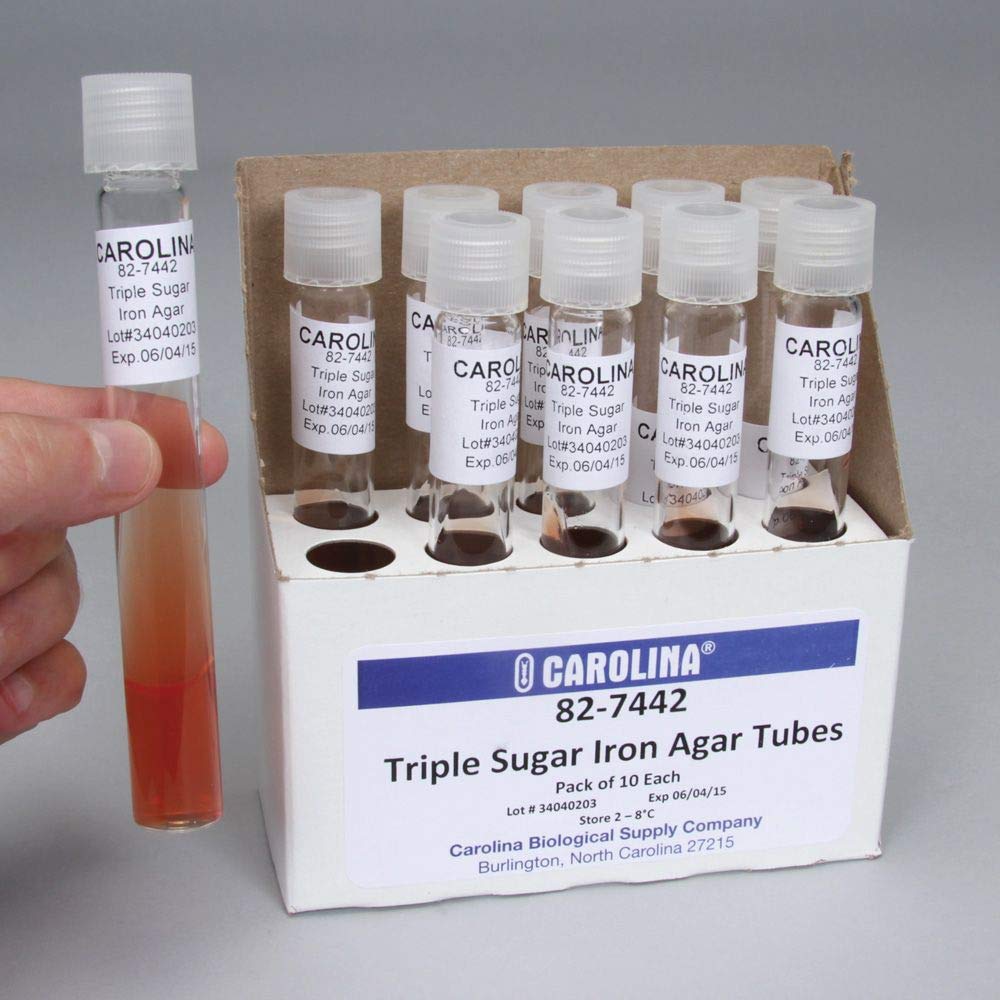 Amazon.com: Triple Sugar Iron Agar, Slant, Prepared Media Tubes, Pack ...