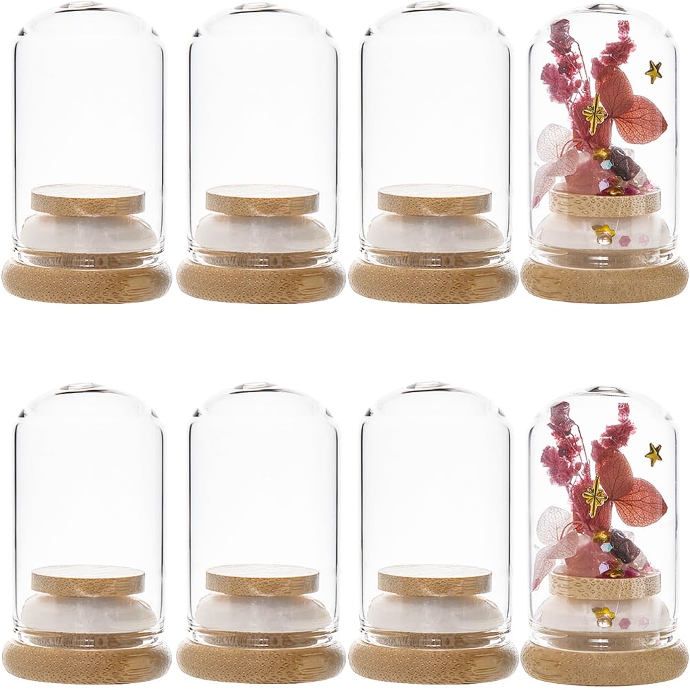 Potion Bottles PH PandaHall 8pcs Glass Cloche Bell Jars - 4 Sizes ...