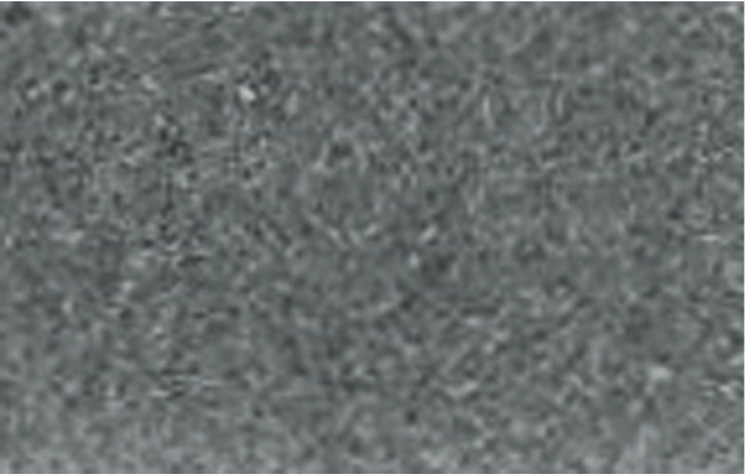 Amazon.com: 5 Yards Light Gray Upholstery Durable Un-Backed Automotive ...