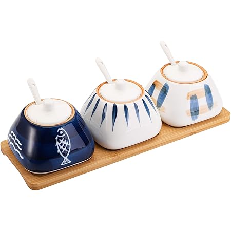 Amazon.com | Porcelain Condiment Jar Spice Container with set of 3 ...