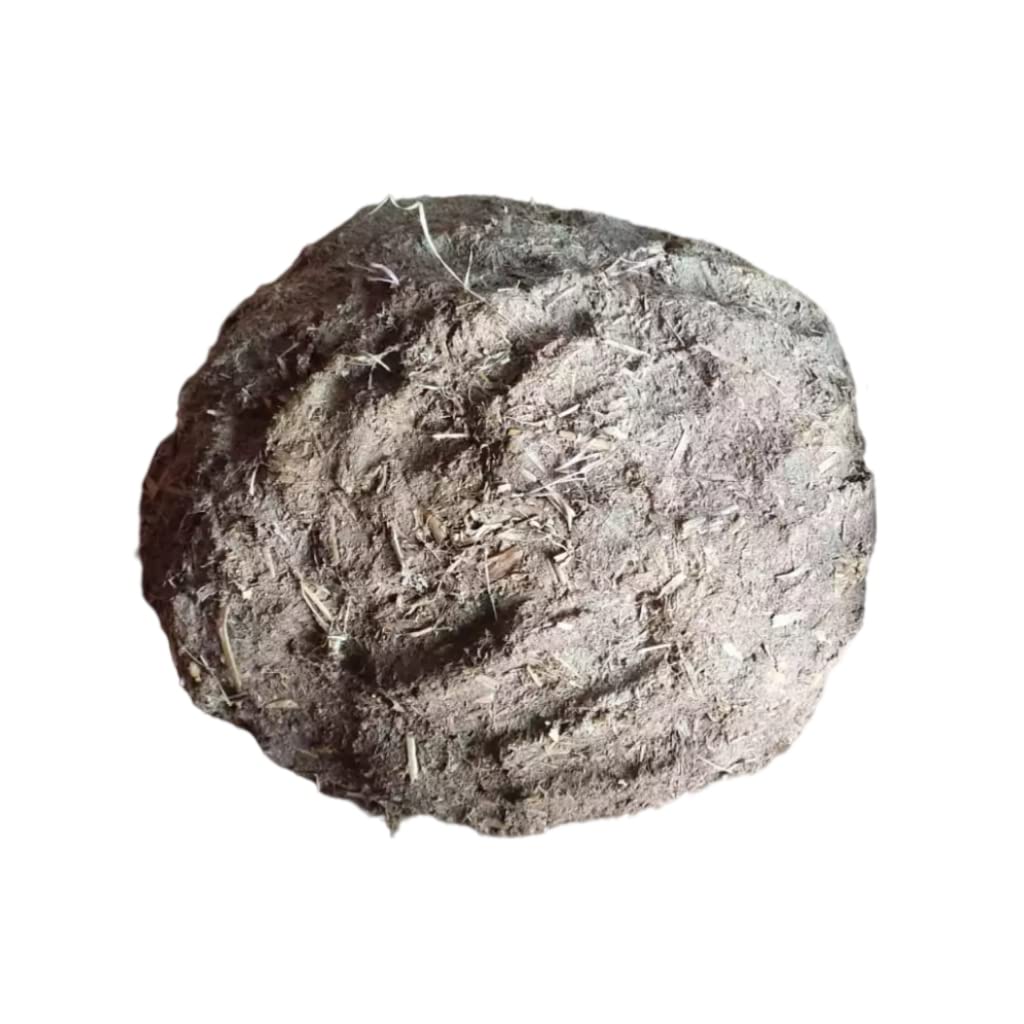 Buy Shiv Trading Store Desi Cow Dung Cake for Pooja/Havan/ | Gohe/Gose ...