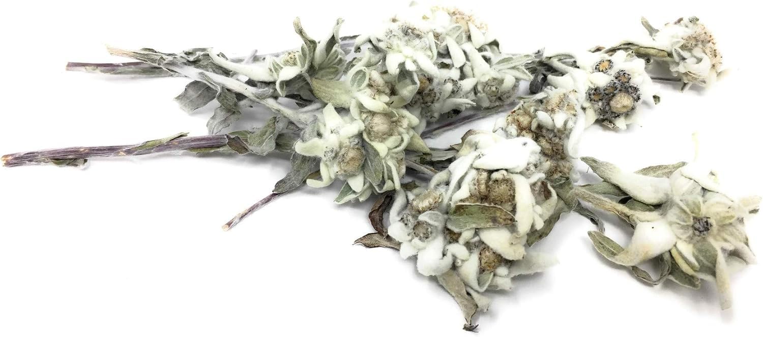 Amazon.com: Edible Alpine Edelweiss Flowers - Pure, Rare, Natural ...