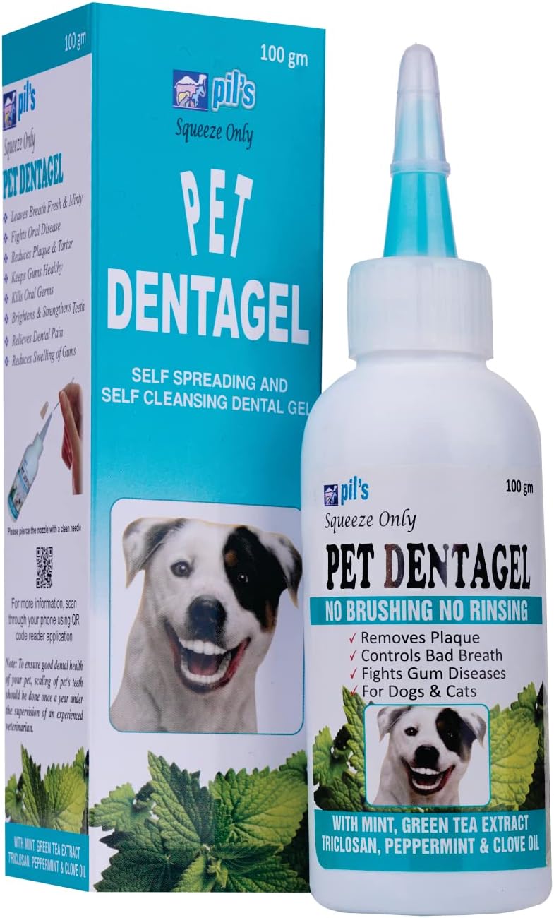 Buy Pil Pet Denta Gel Toothpaste for Dog & Cat With Mint, Green Tea ...