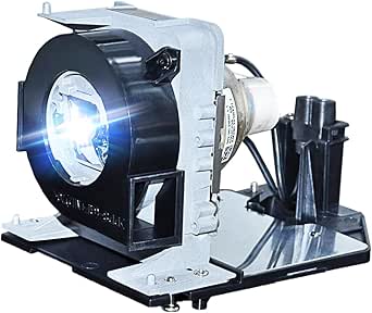 Amazon.com: JISIZKY NP38LP Original UHP365W Replacement Module Lamp ...