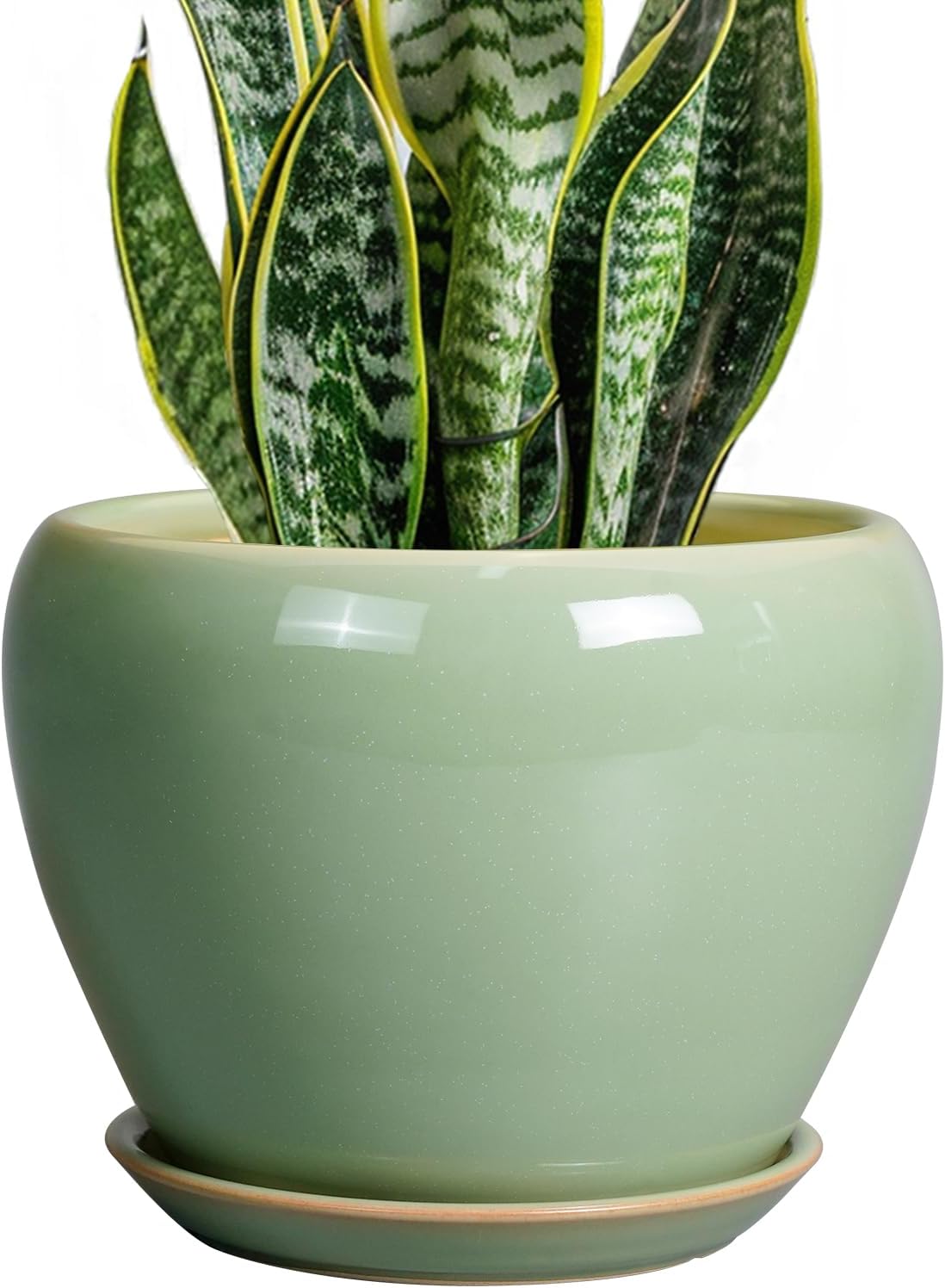 Amazon.com : Ceramicfor 8 Inch Plant Pot - Ceramic Planter for Outdoor ...