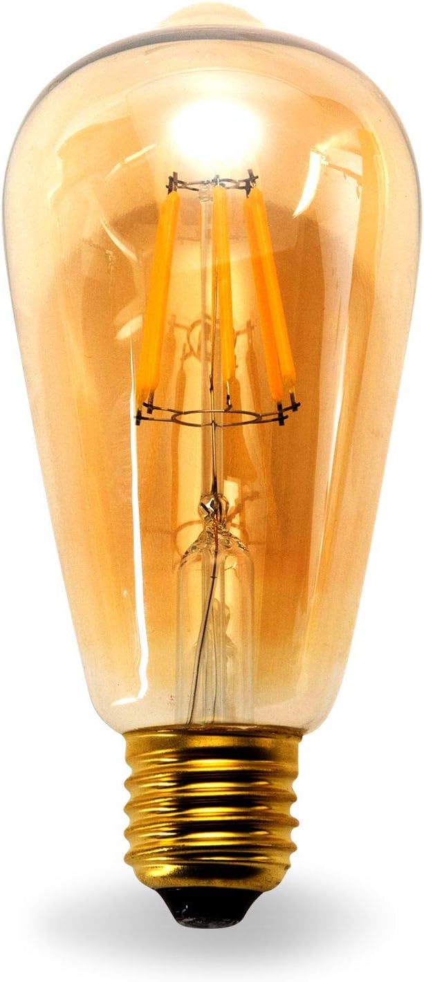 Amazon.com: BRONZE AMBER DC 12 Volt Edison Light Bulb A19 Soft White ...