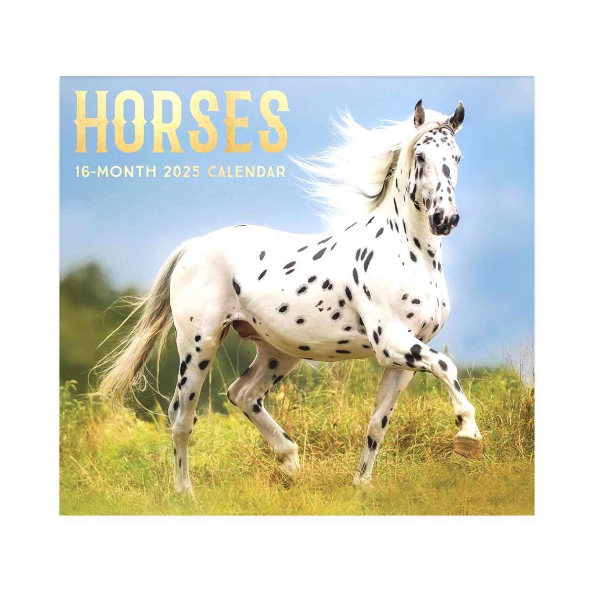 Snapklik.com : Horses 2025 Full Size Wall Calendar For Planning