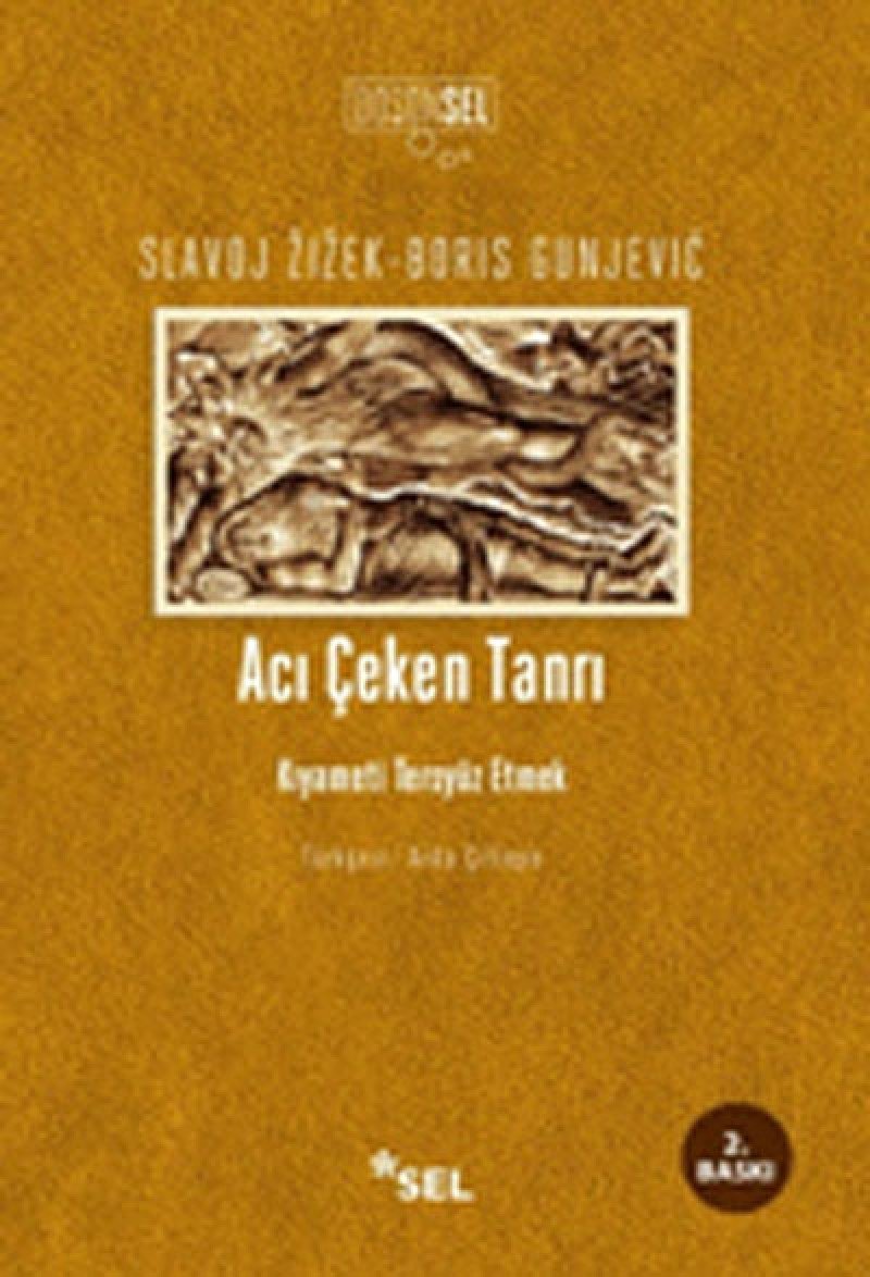 Amazon.com: ACI ÇEKEN TANRI (Turkish Edition): 9789755706474: Slavoj ...