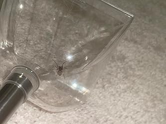 Amazon.com : Saillong 1 Pack Large Spider Insect Catcher with Long 31 ...