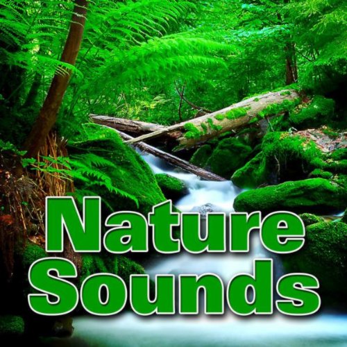 Play Nature Sounds by Dr. Sound Effects on Amazon Music