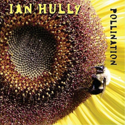 Amazon.com: Pollination : Ian Hully: Digital Music