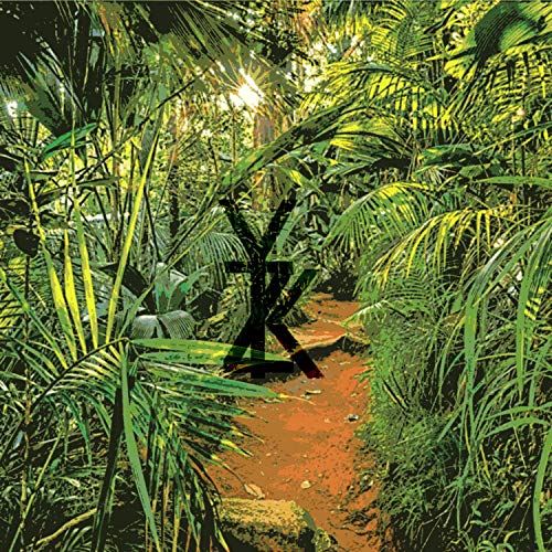 Amazon.com: Jungle : Zyk: Digital Music