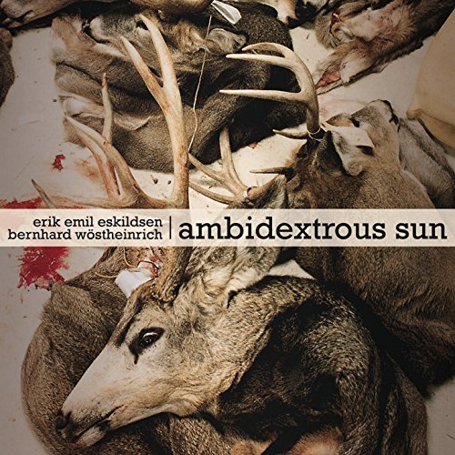 Amazon.co.jp: Ambidextrous Sun : Erik Emil Eskildsen & Bernhard ...
