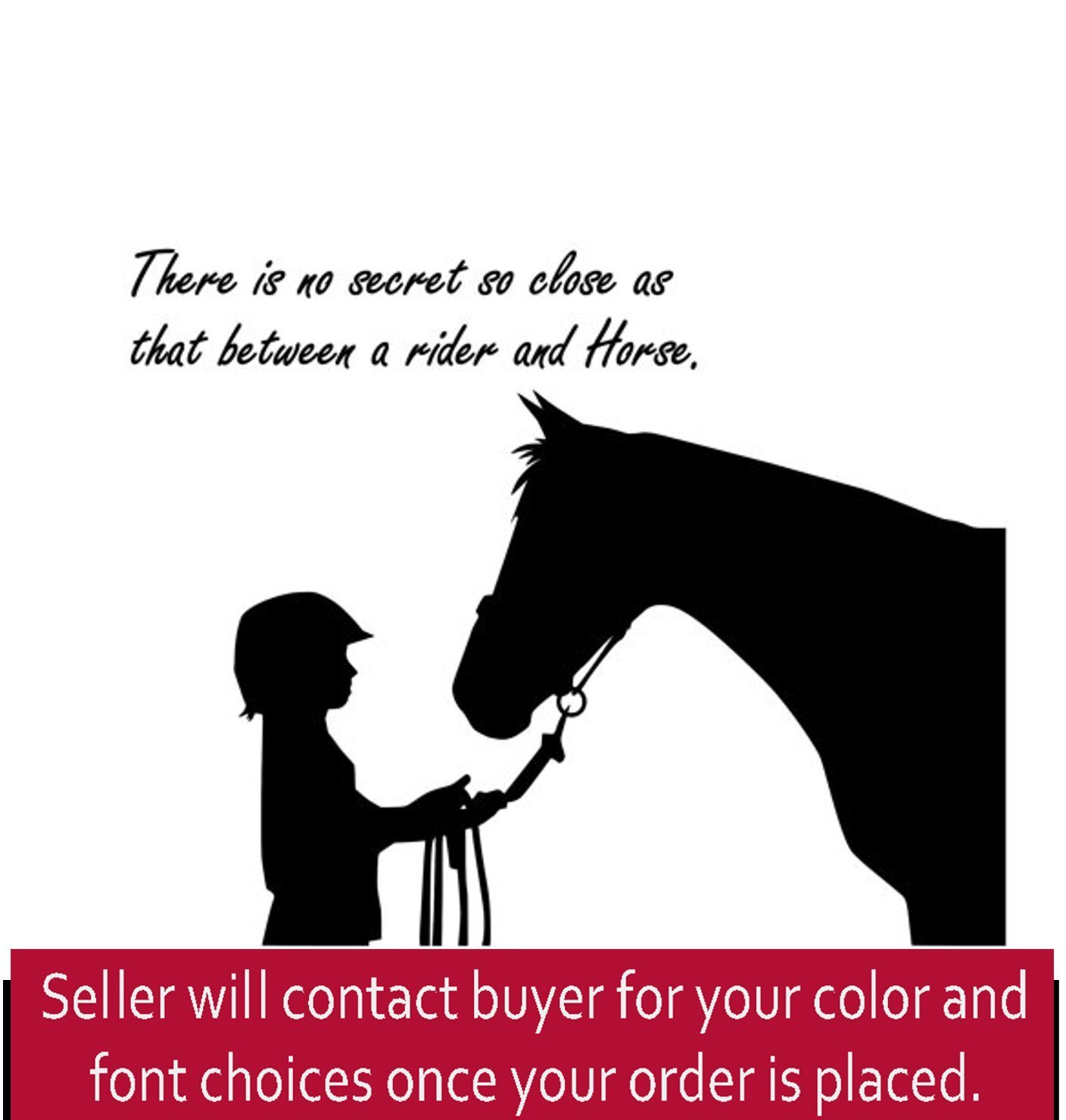 Amazon.com: aluckyhorseshoe Horse Decal-Horse Sticker-Quote Decal-Horse ...