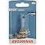 Amazon.com: SYLVANIA 893 Basic Fog Bulb, (Contains 1 Bulb) : Automotive