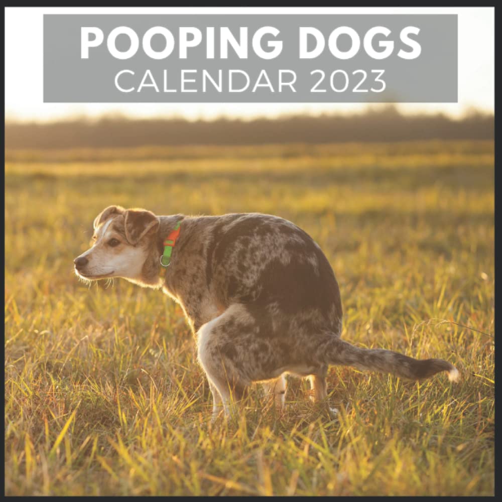 Buy Pooping Dogs 2023: Fun Dog Poop for 2023, Perfect Gift Idea for ...