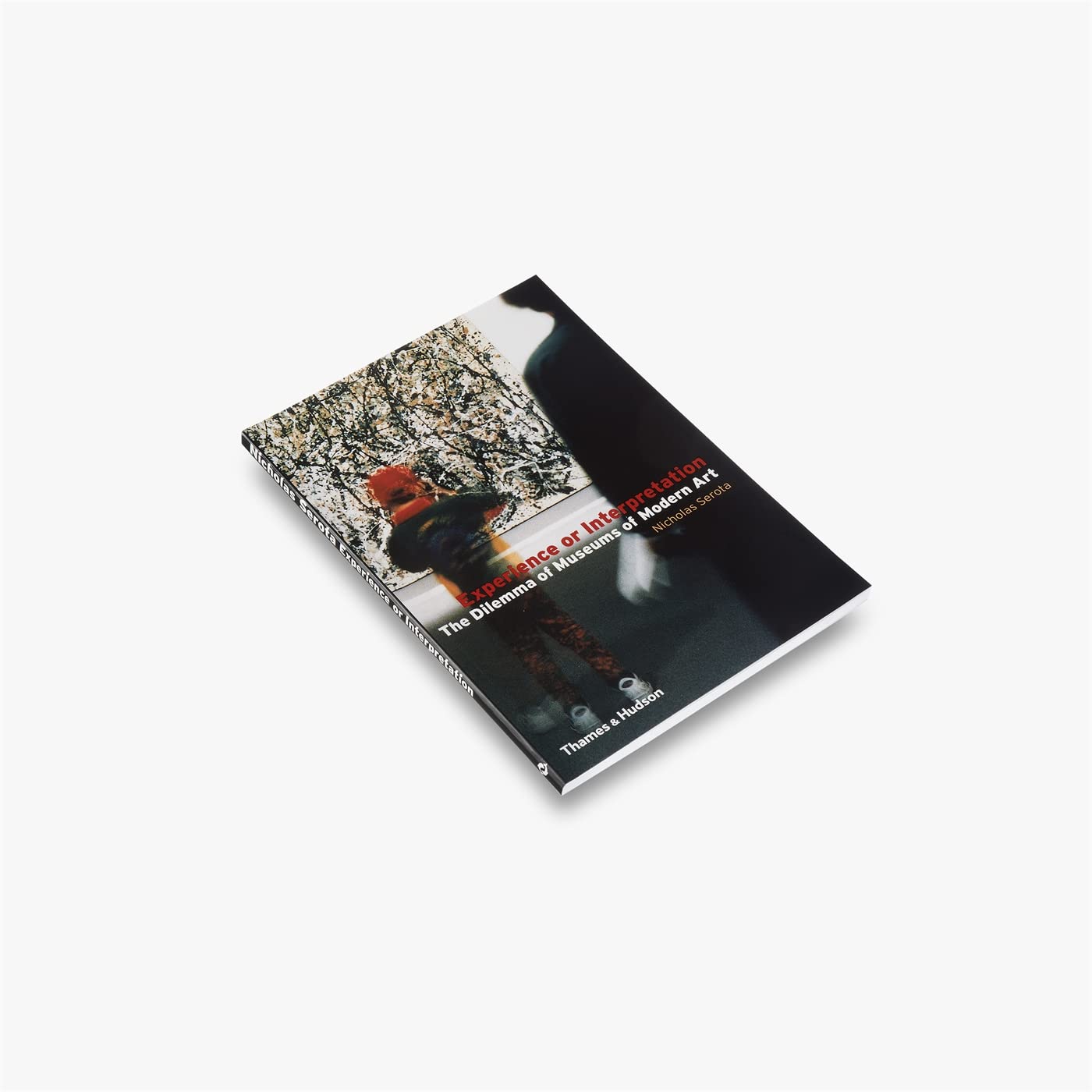 Amazon | Experience or Interpretation: The Dilemma of Museums of Modern ...