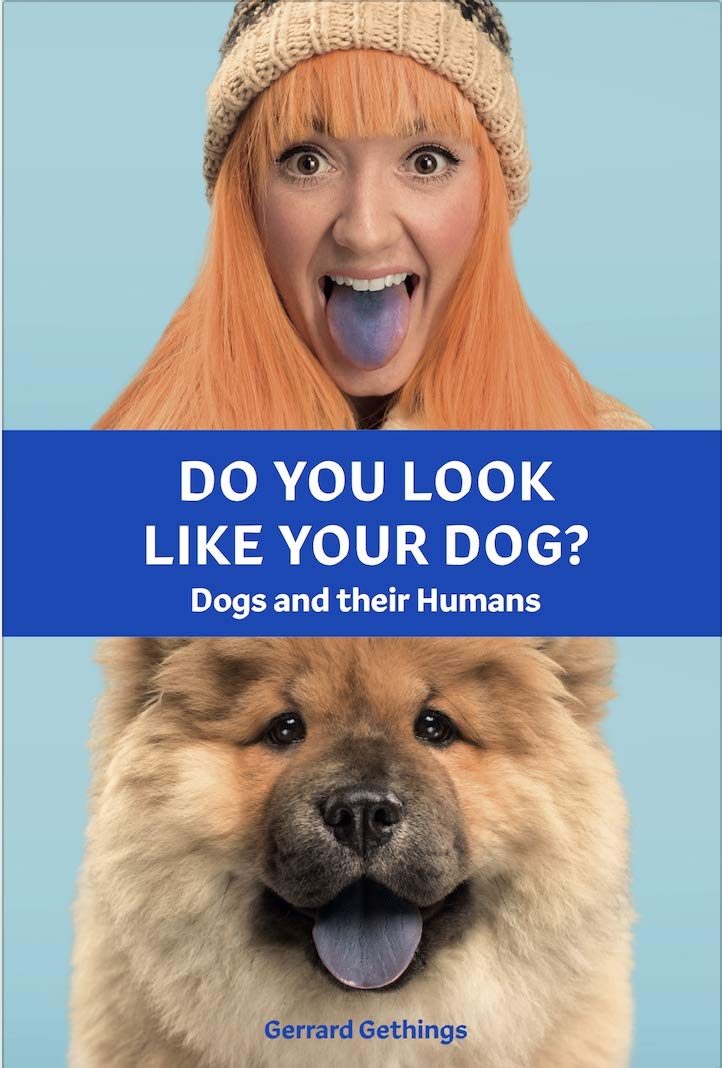 What Do Dogs Do For Humans