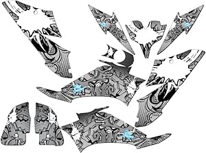 Amazon.com: All Years Raptor 250 Zany White Senge Graphics Kit ...