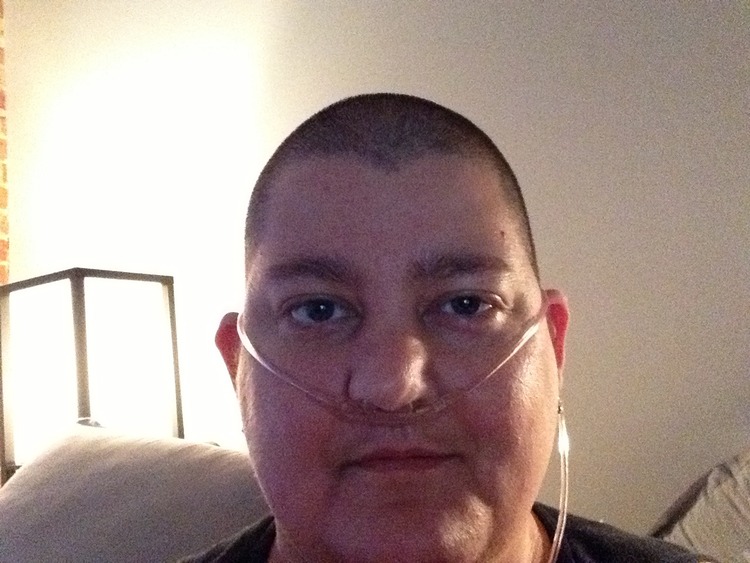 Amazon.com: Michele DeMeo: books, biography, latest update