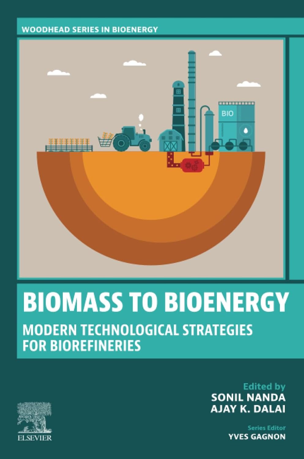 Biomass to Bioenergy: Modern Technological Strategies for Biorefineries ...