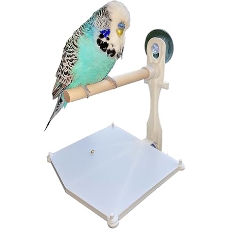 Amazon.com : Tnfeeon Portable Birds Shower Perch, Parrots Stand with ...