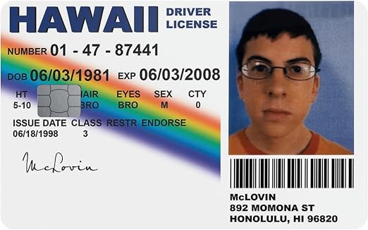 Amazon.com - WORKIRAN Driver Licence Sticker | Covering & Personalizing ...