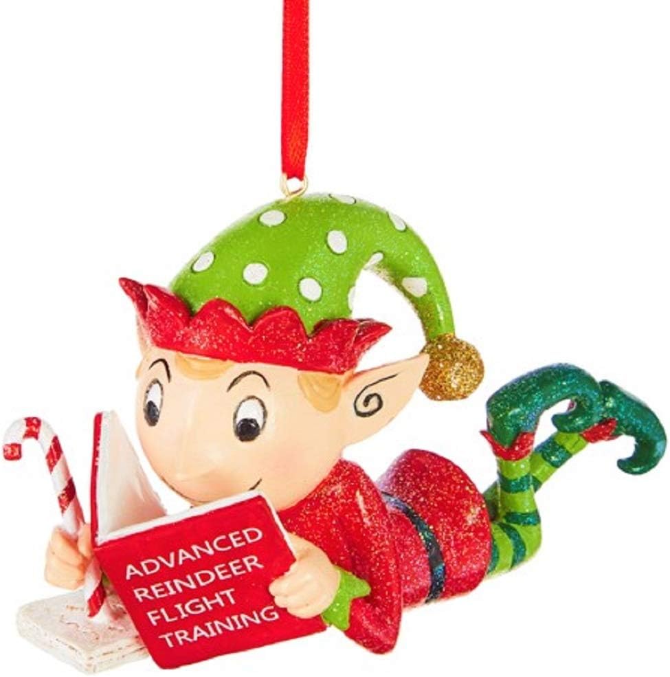 Amazon.com: RAZ Imports 4" Studying Elf Advanced Reindeer Flight ...