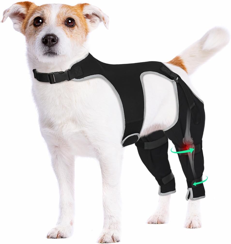 Amazon.com : Pawfun Dog Recovery Sleeve Back Leg– Breathable Dog Rear ...