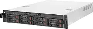 Amazon.com: SilverStone Technology SST-RM22-308 2U Rack Mounted Server ...