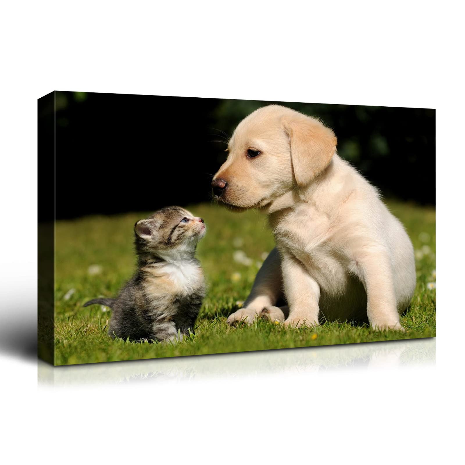 Two Animals Together