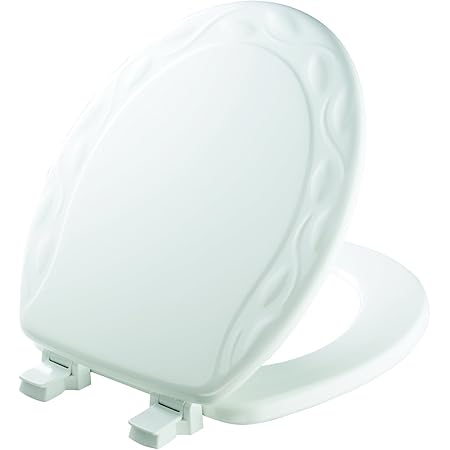 BEMIS 600E4 000 Ashland Toilet Seat with Slow Close, Never Loosens and ...
