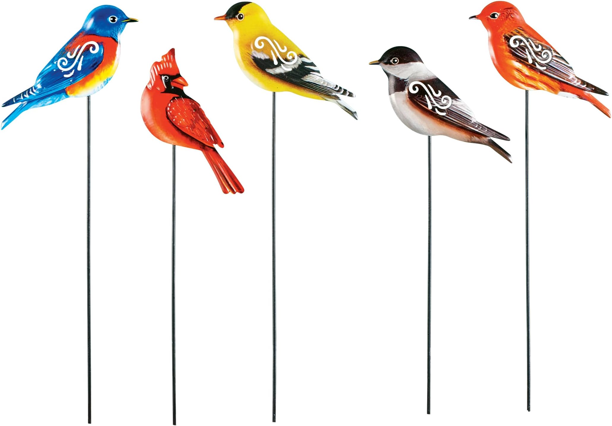 Amazon.com: Collections Etc Colorful Birds Outdoor Garden Stakes - Set ...