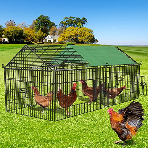 Types Of Breeder Pens For Chickens: A Comprehensive Guide - Rustic ...