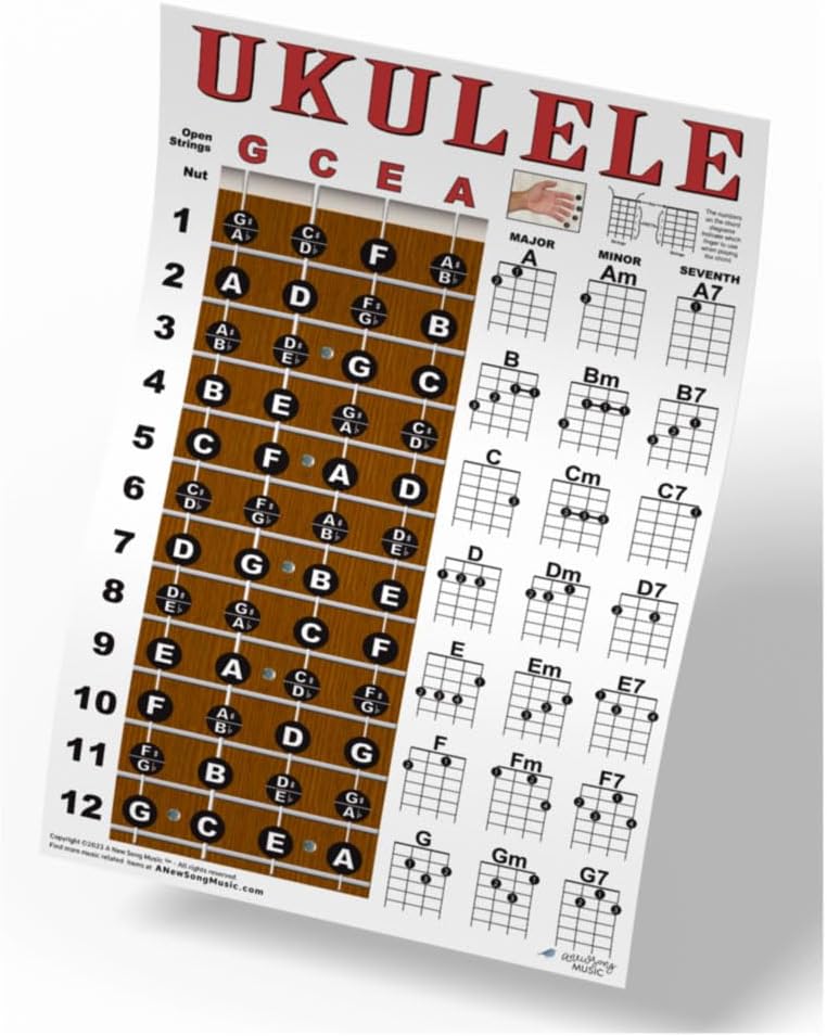 Amazon.com: Ukulele Fretboard Notes & Chord Chart Instructional Poster ...