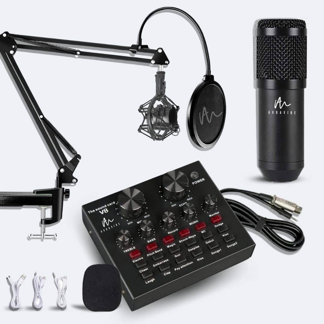 DIGIMORE Professional Condenser Microphone Kit with Audio Interface for ...