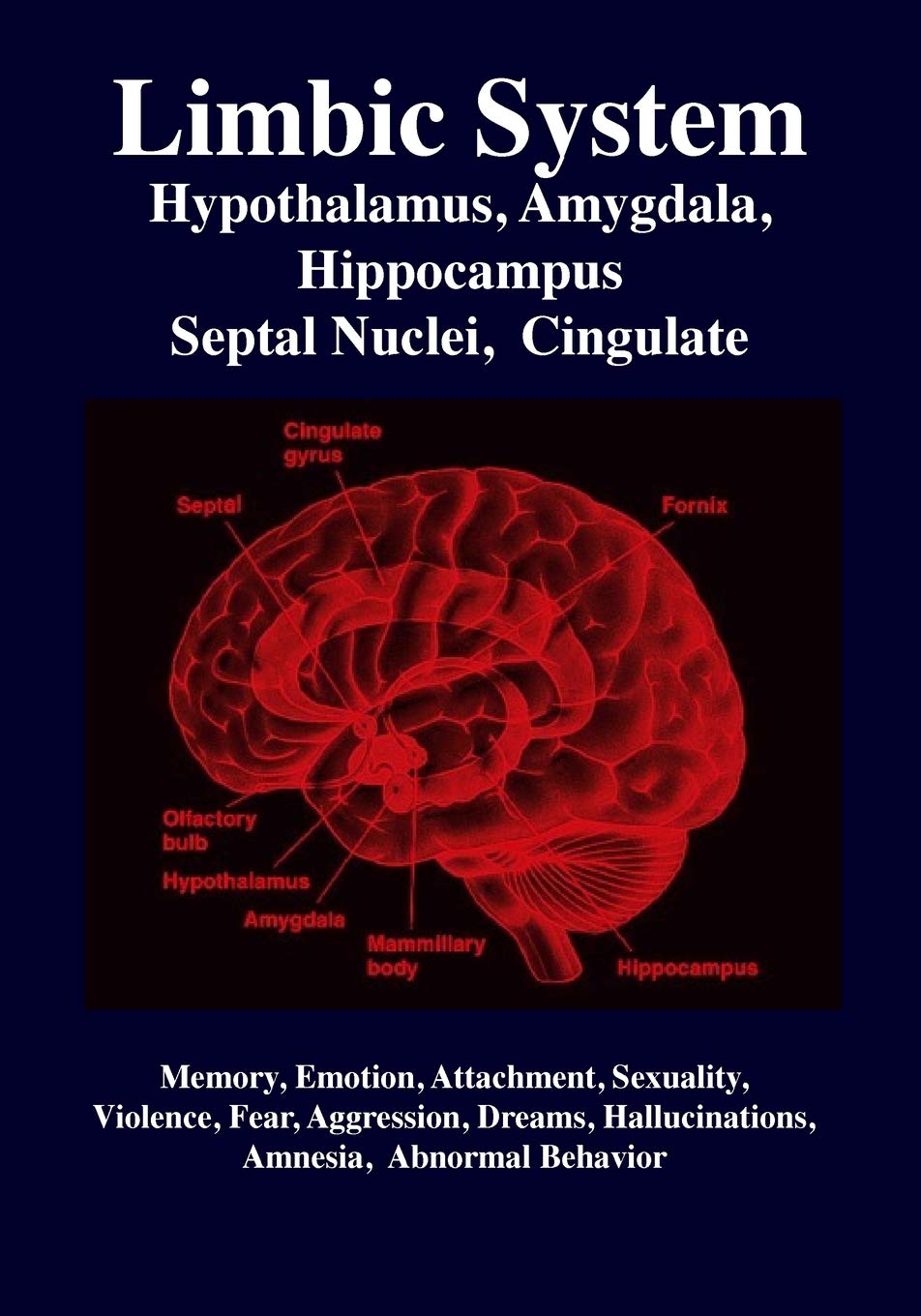 Amazon | Limbic System: Amygdala, Hypothalamus, Septal Nuclei ...