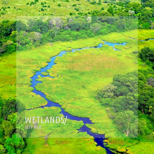 Play Wetlands by Jeff Noz on Amazon Music Unlimited