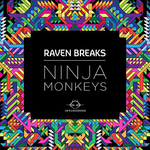 Ninja Monkeys : Raven-Breaks: Amazon.fr: Digital Music