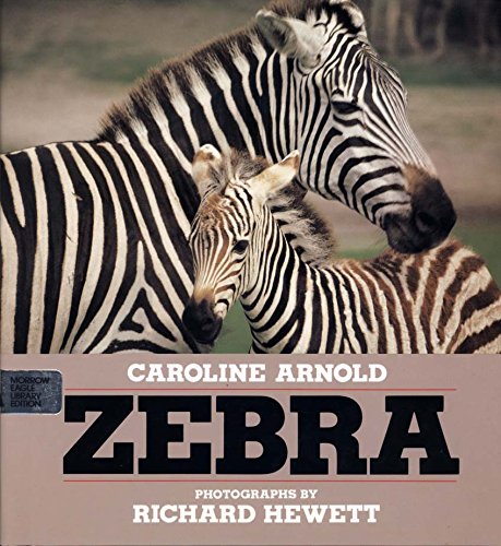 Buy Zebra Book Online at Low Prices in India | Zebra Reviews & Ratings ...