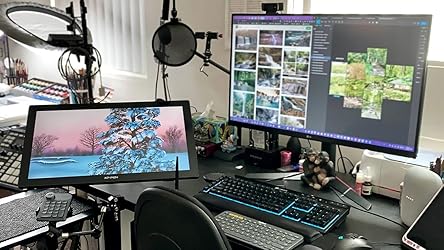 Amazon.com: Ergounion Triple Monitor Mount - Adjustable 3 Monitor Desk ...