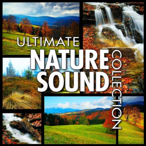 Amazon.com: Ultimate Nature Sounds for Healing, Yoga & Spa : Nature ...