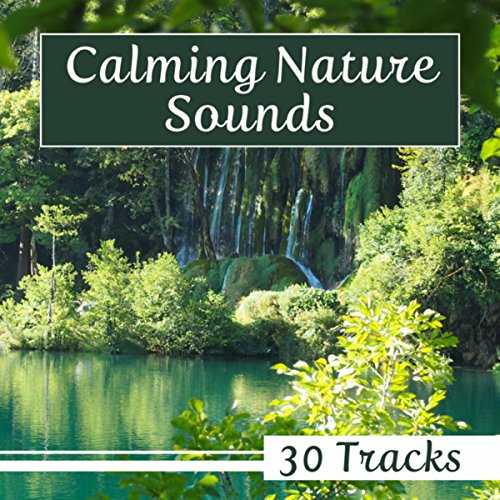 Soothing Birds Singing Song von Calm Nature Oasis aus dem Album Calming ...
