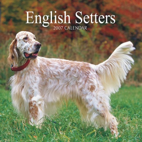 English Setters 2007 Calendar: NOT A BOOK: 9781421606958: Amazon.com: Books