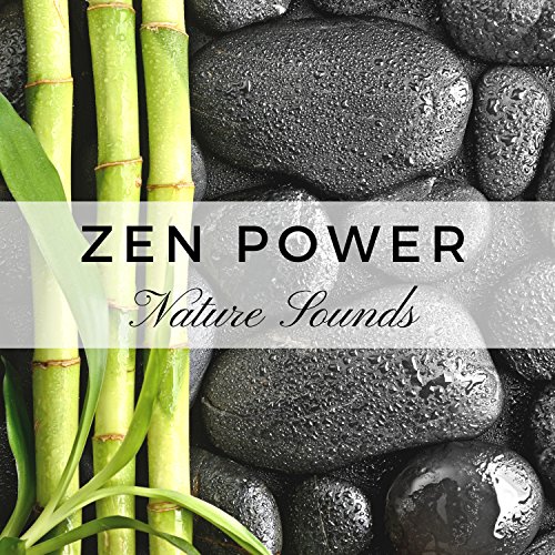 Amazon.com: Zen Power: Calming New Age Music for Yoga, Pilates and Tai ...