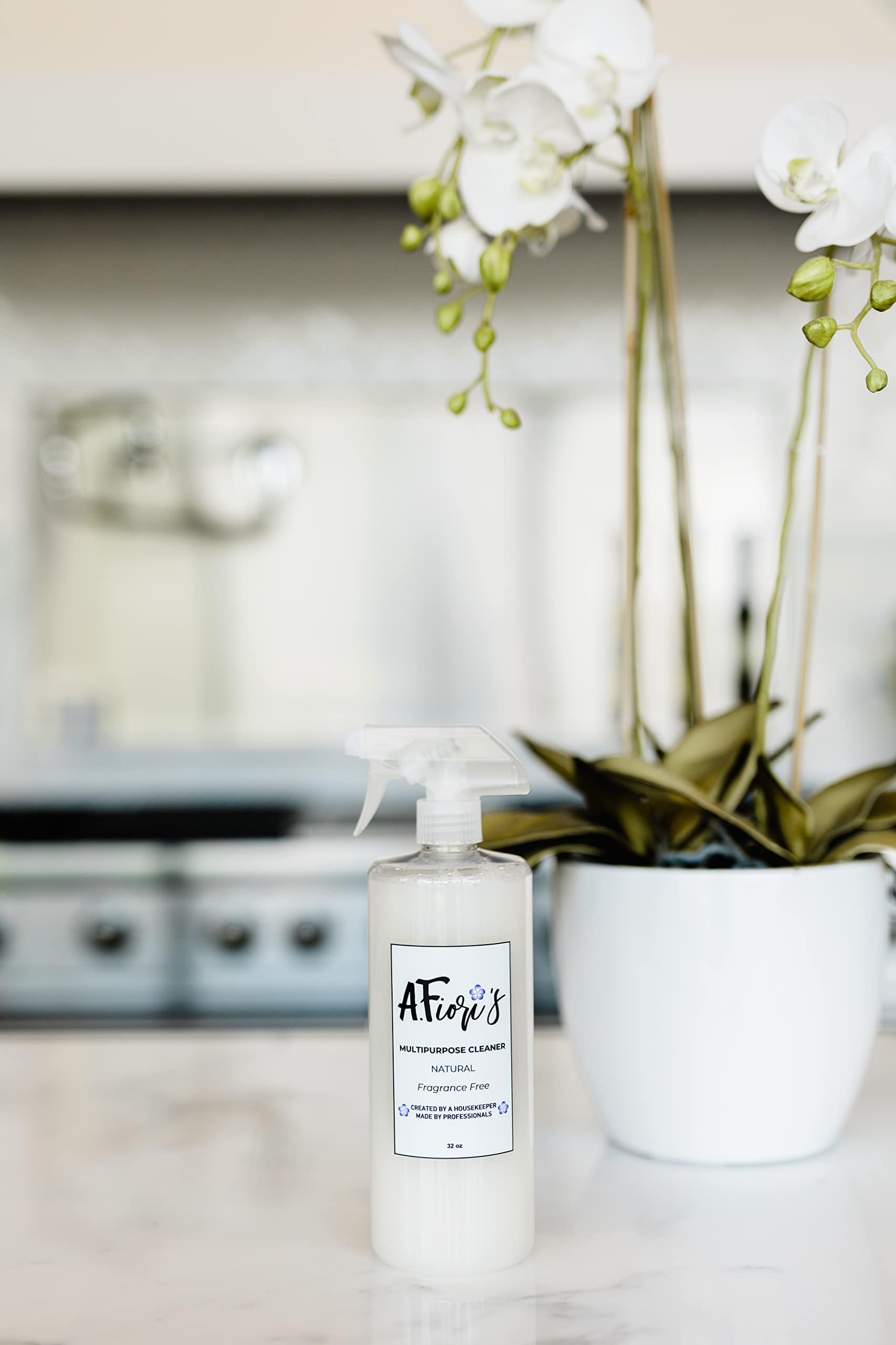 Amazon.com: EaCo Chem Cleansol BC - Brushless Oxidation and Soil ...