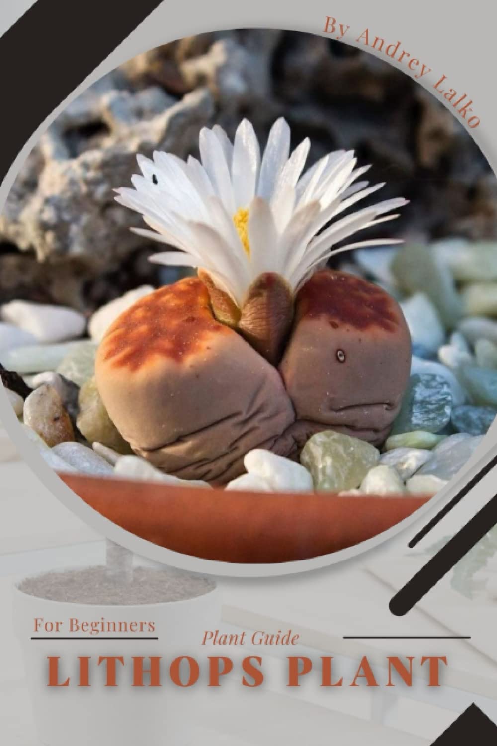 Lithops Plant: Plant Guide: Lalko, Andrey: 9798391416227: Amazon.com: Books